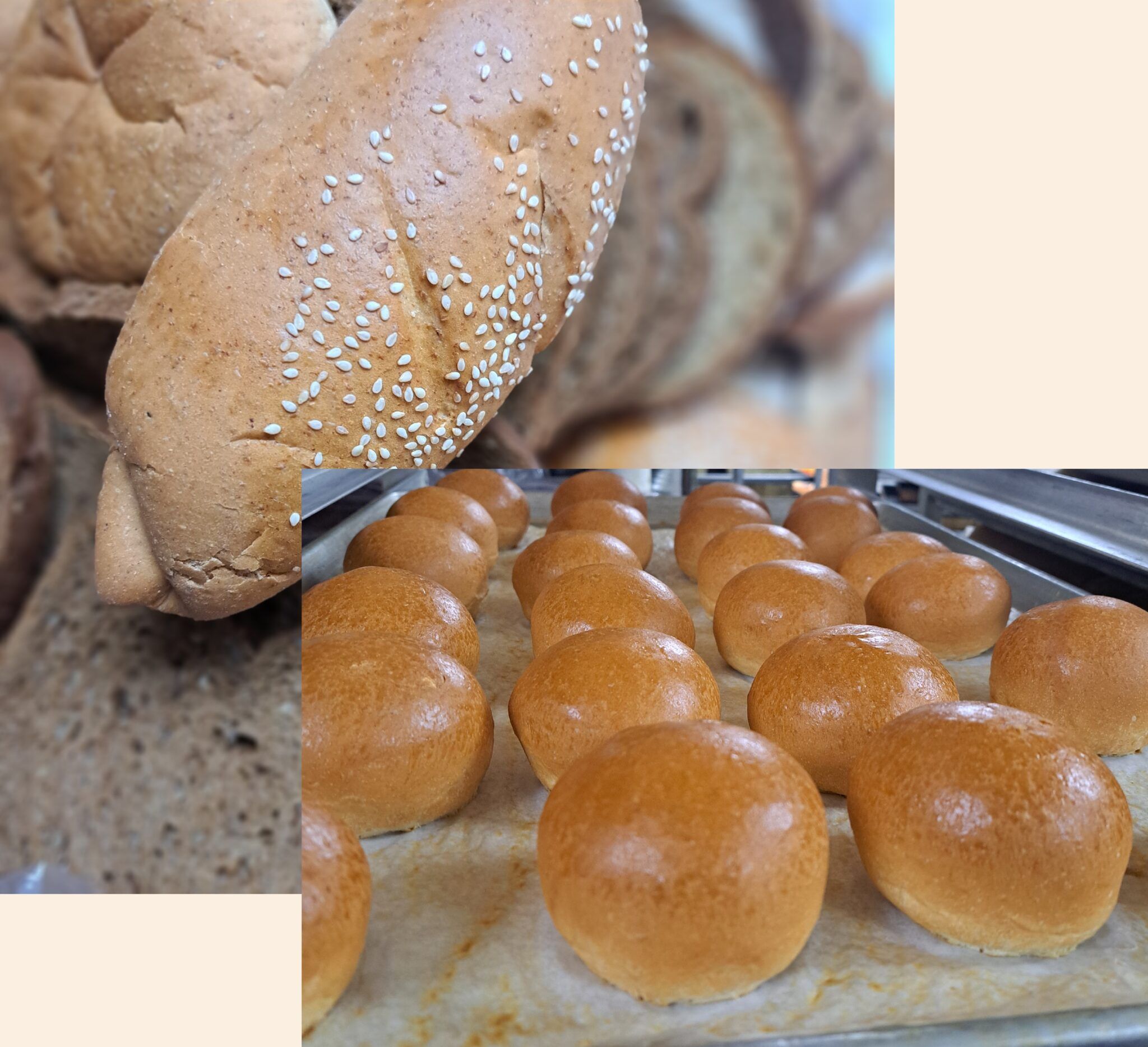 Home - The Bread Shop